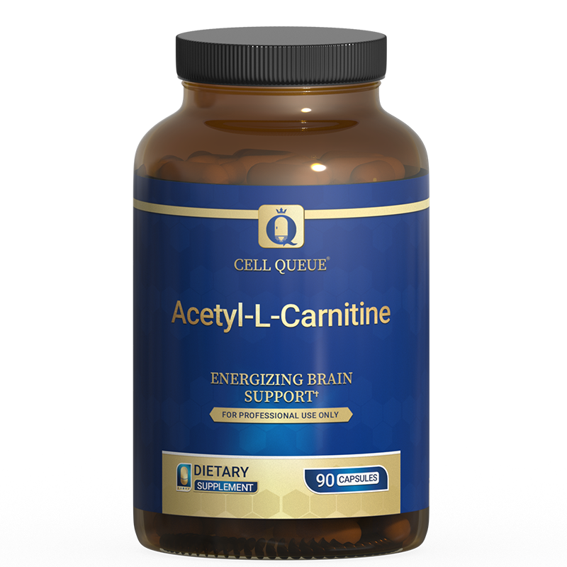 Acetyl-L-Carnitine – CELL QUEUE